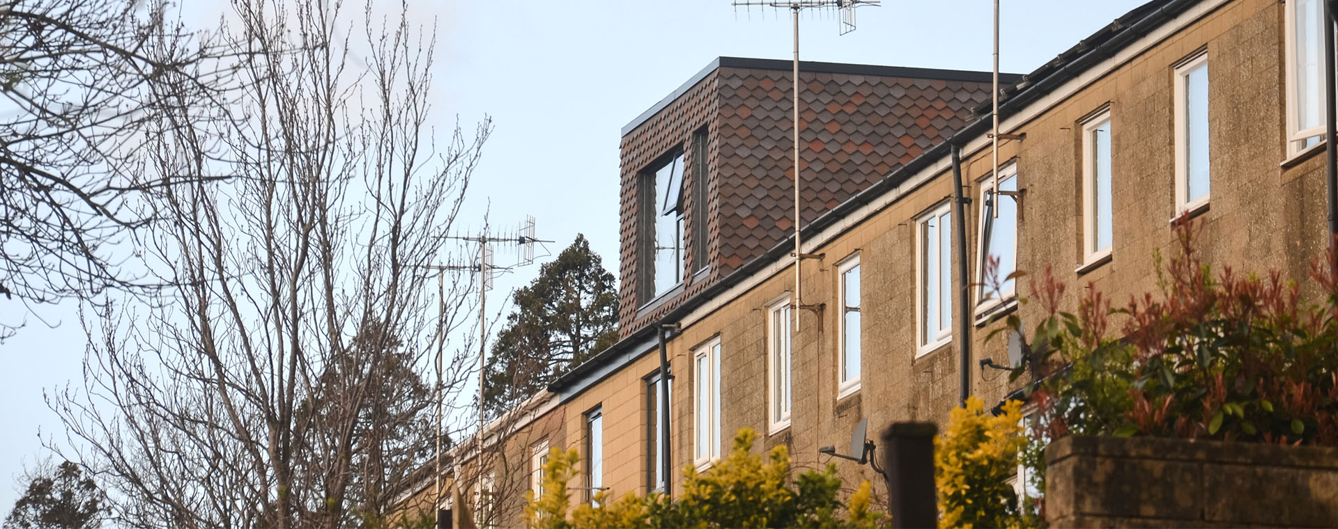 Case study - contemporary loft extension in ornamentals